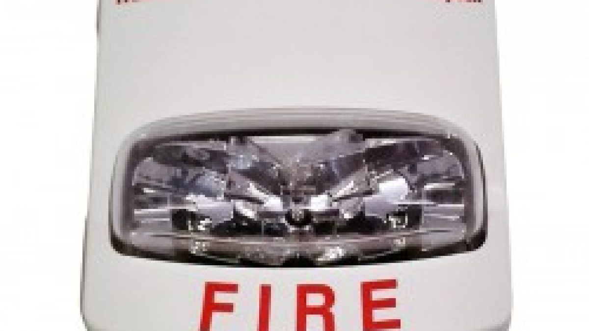 Candele Auto Benzina Simplex 4906-9101 Truealert Multi-Candela Wall ...